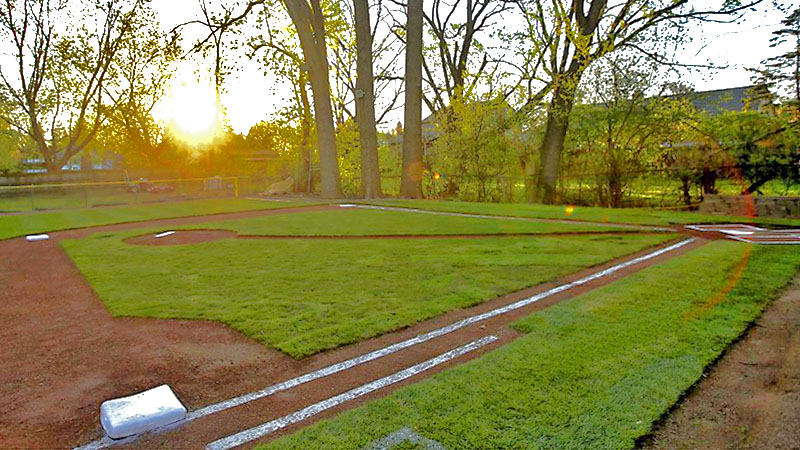 Playing Fields - Committee of 100 on the Federal City